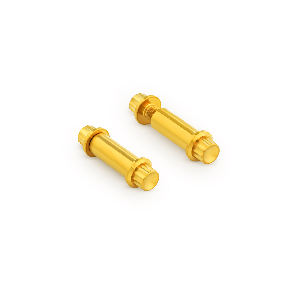 Titanium 12-Point Footpeg Bolt Kits, Gold – ArlenNess