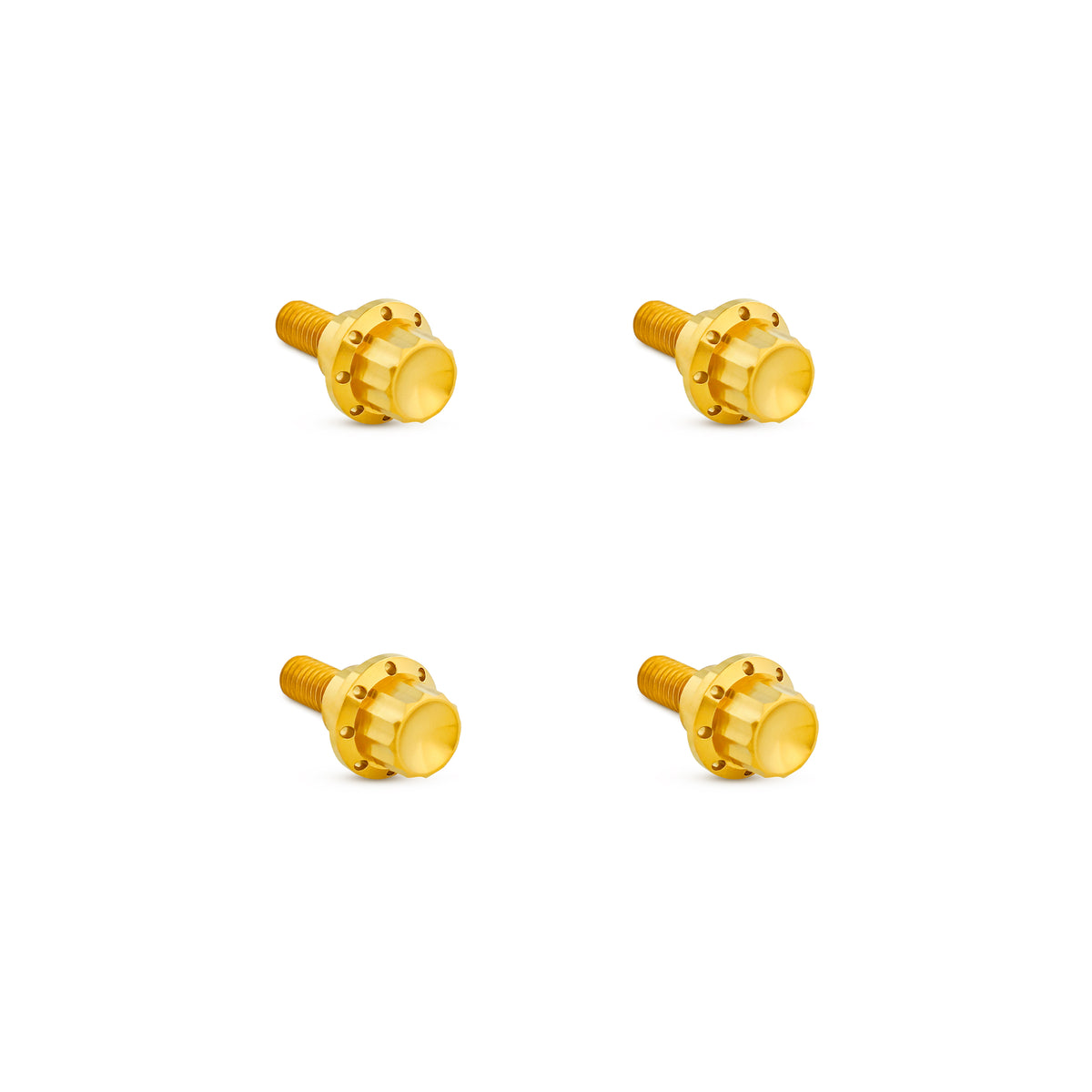 Titanium 12-Point Windshield Bolts for Road Glide, Gold – ArlenNess