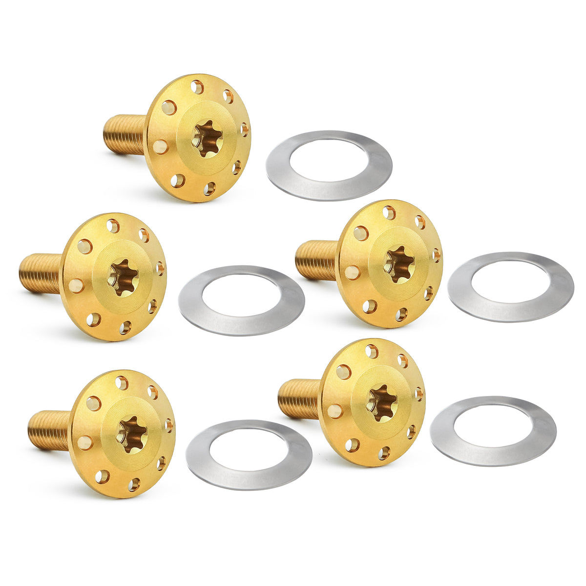 Titanium Floating Rotor Bolts, FLT Touring / Gold – ArlenNess