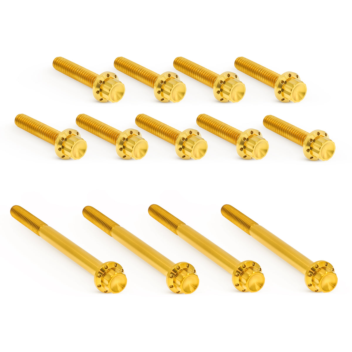 Primary Cover Titanium 12-Point Bolt Kits, Gold – ArlenNess