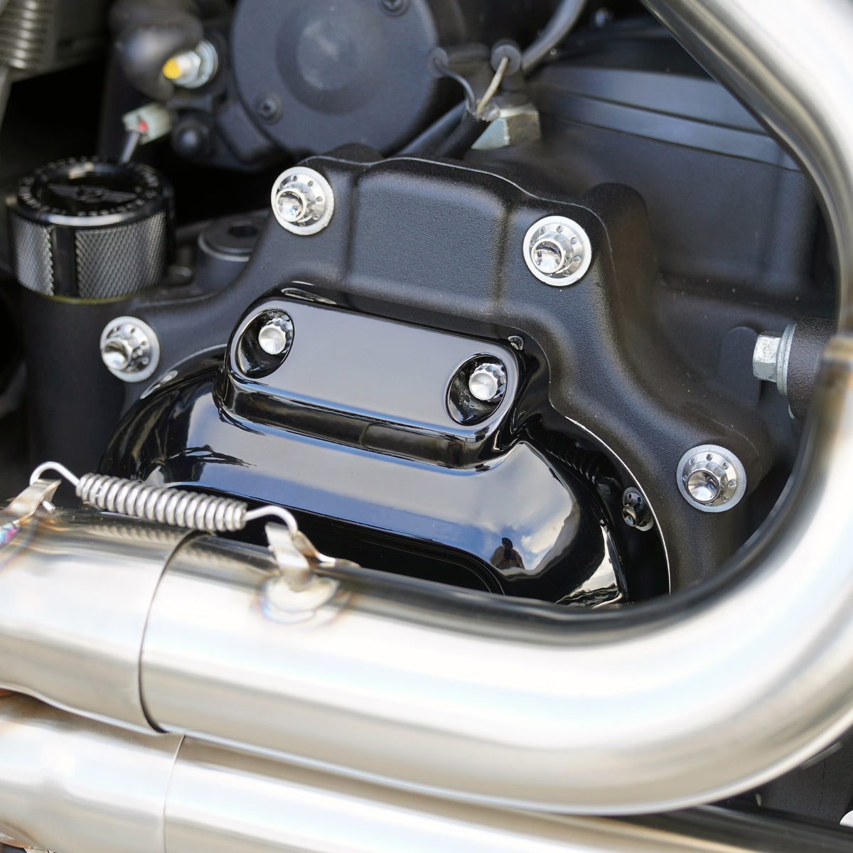 Titanium 12-Point Transmission Side Cover Bolt Kit, Polished – ArlenNess