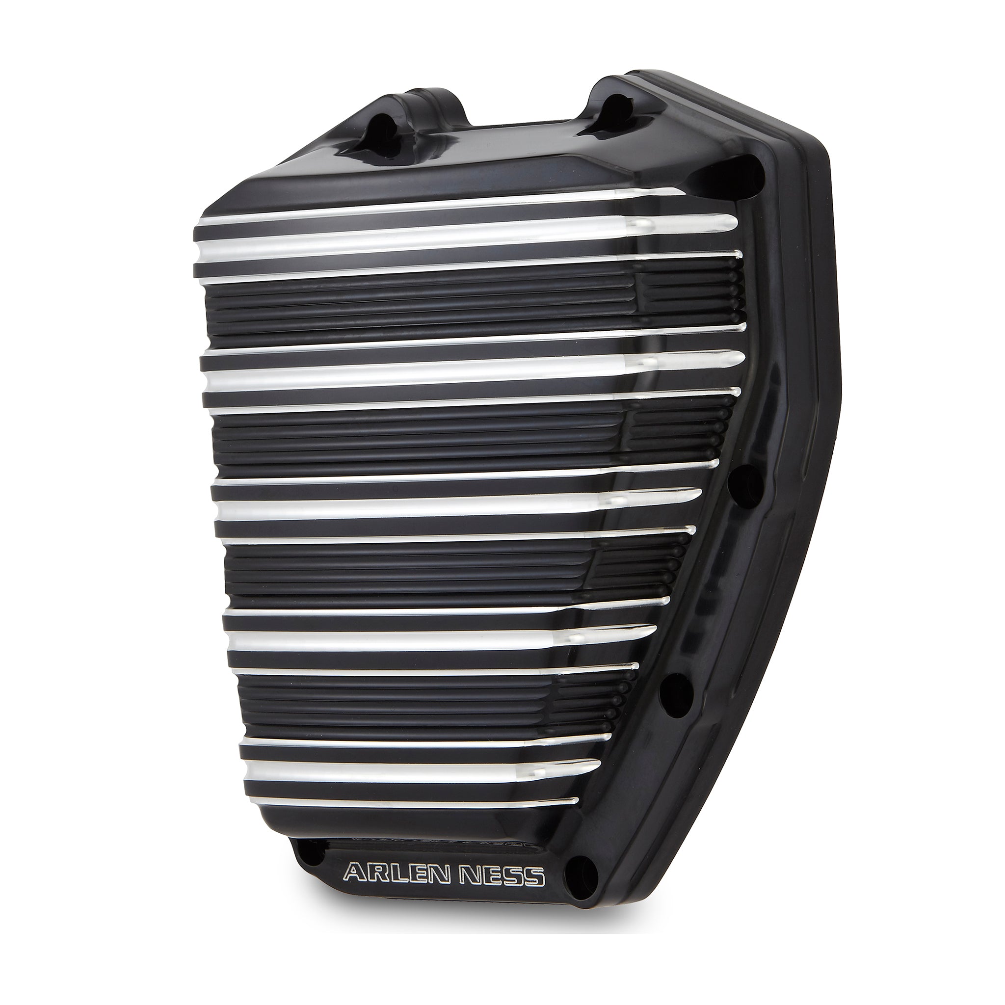 10-Gauge® Twin Cam Cam Cover, Black – ArlenNess