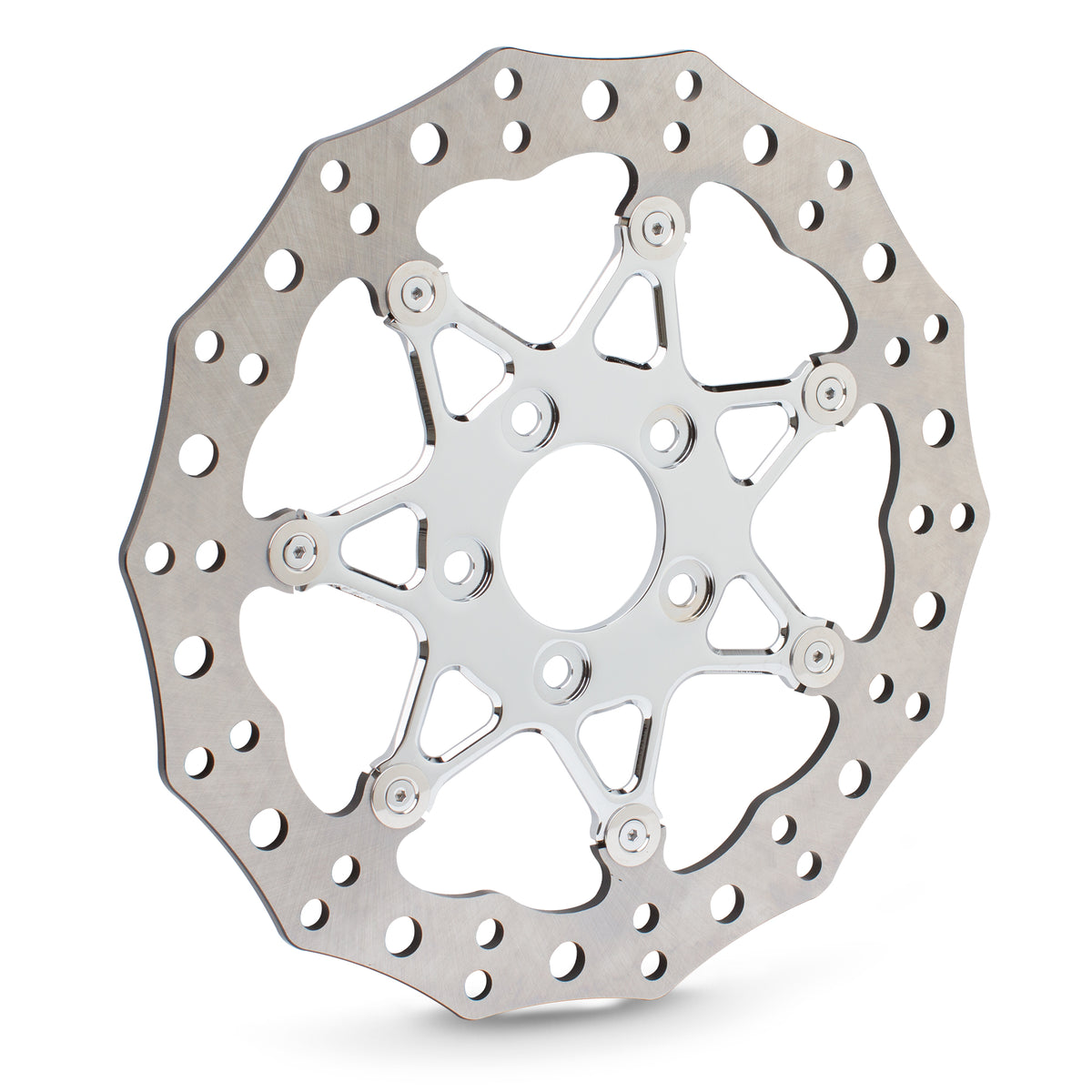 Procross Brake Rotor, Chrome – ArlenNess